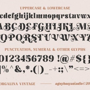 Chunky Retro Groovy, Bold Retro Font, Marker Font, Procreate Font ...