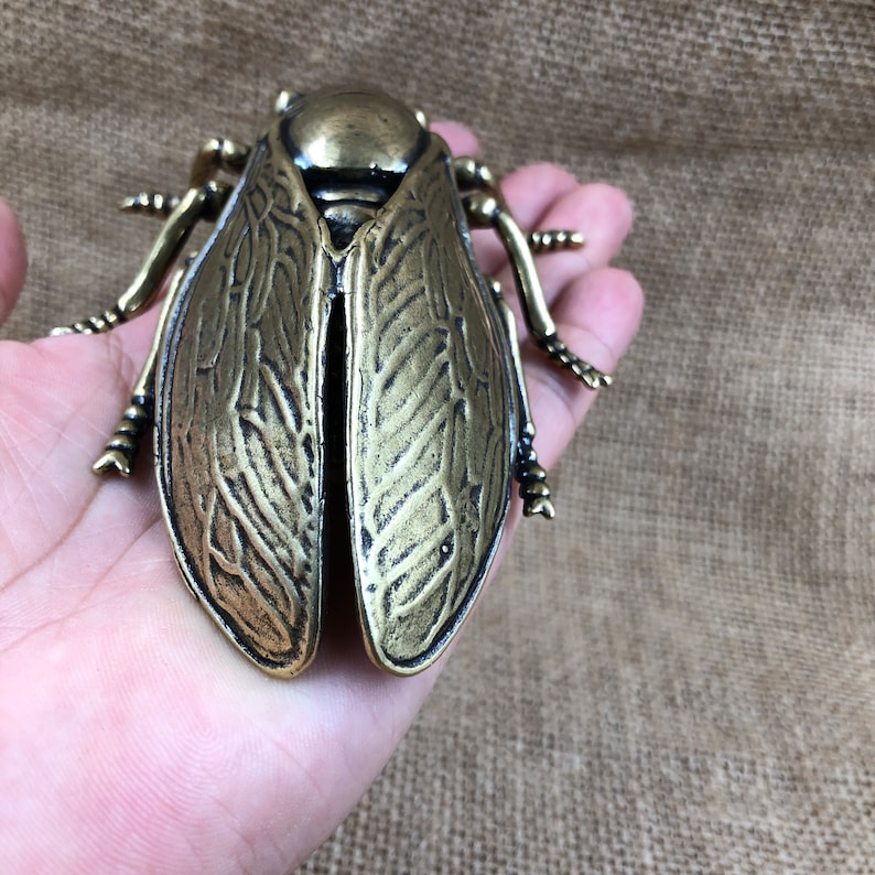 Huge Vintage Style Cicada Figure, Realistic Insects Cicada Bugs Statue ...