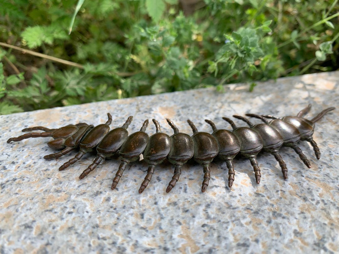 Solid Red Copper Centipede Insect Statue Figure Ornaments, Home Feng ...