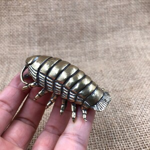 Copper Giant Isopod Toy Deep-sea Creatures Bathynomus Giganteus Giant ...