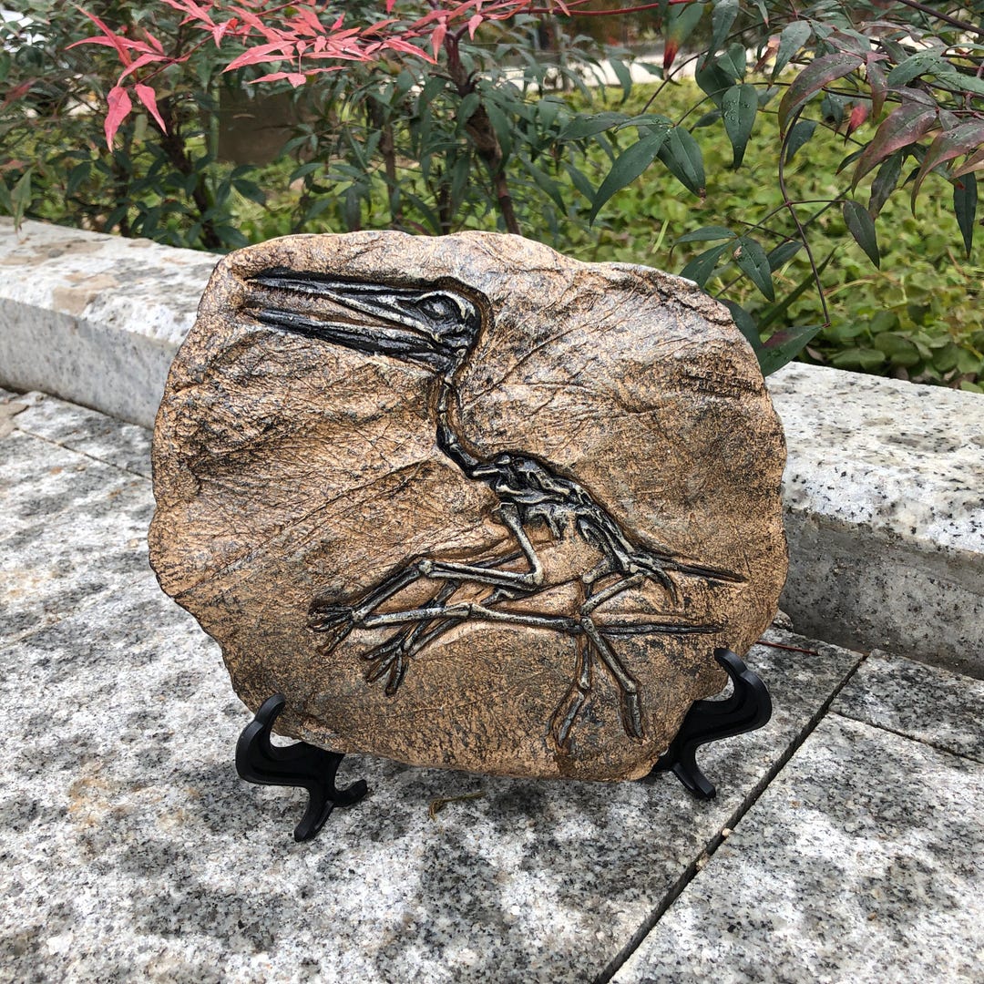 Jurassic World Replica,dinosaur Dinosaur Bird Skeleton Fossils,animal ...