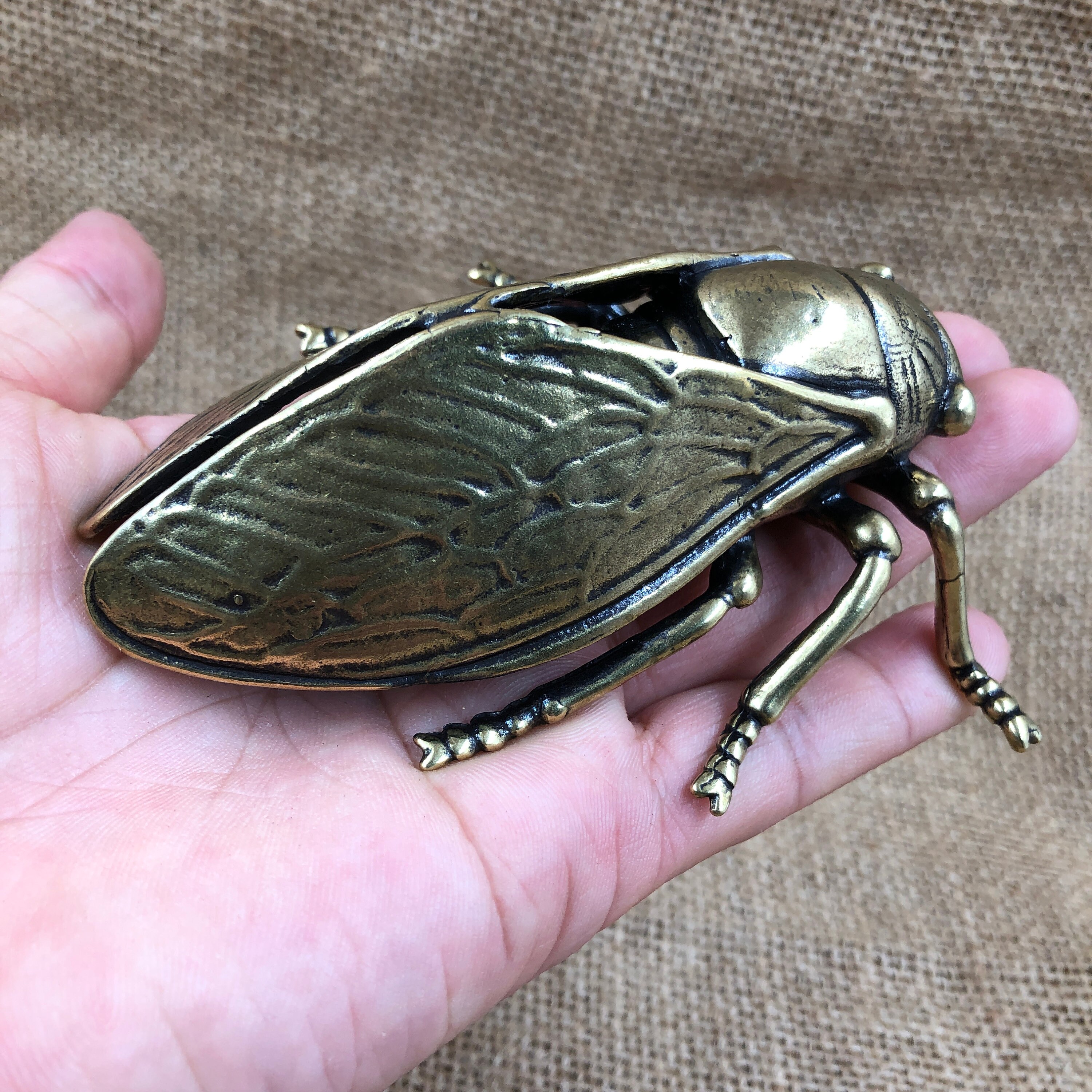 Huge Vintage Style Cicada Figure, Realistic Insects Cicada Bugs Statue ...