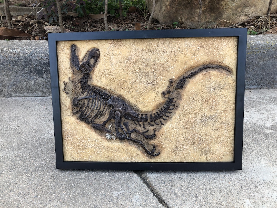 Replica Jurassic World ,dinosaur Skeleton Fossils,animal Skeleton ...