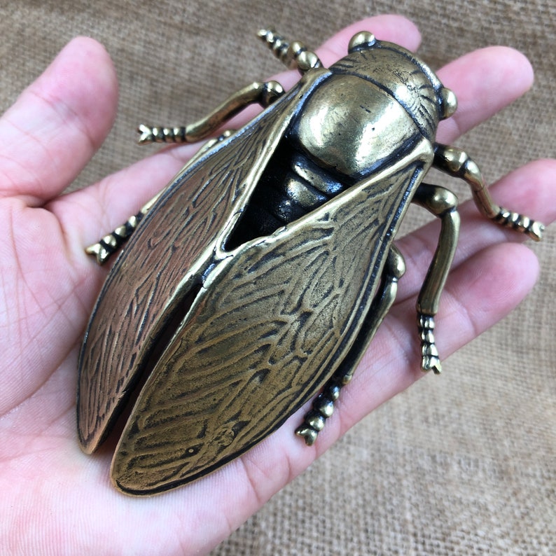 Huge Vintage Style Cicada Figure, Realistic Insects Cicada Bugs Statue ...