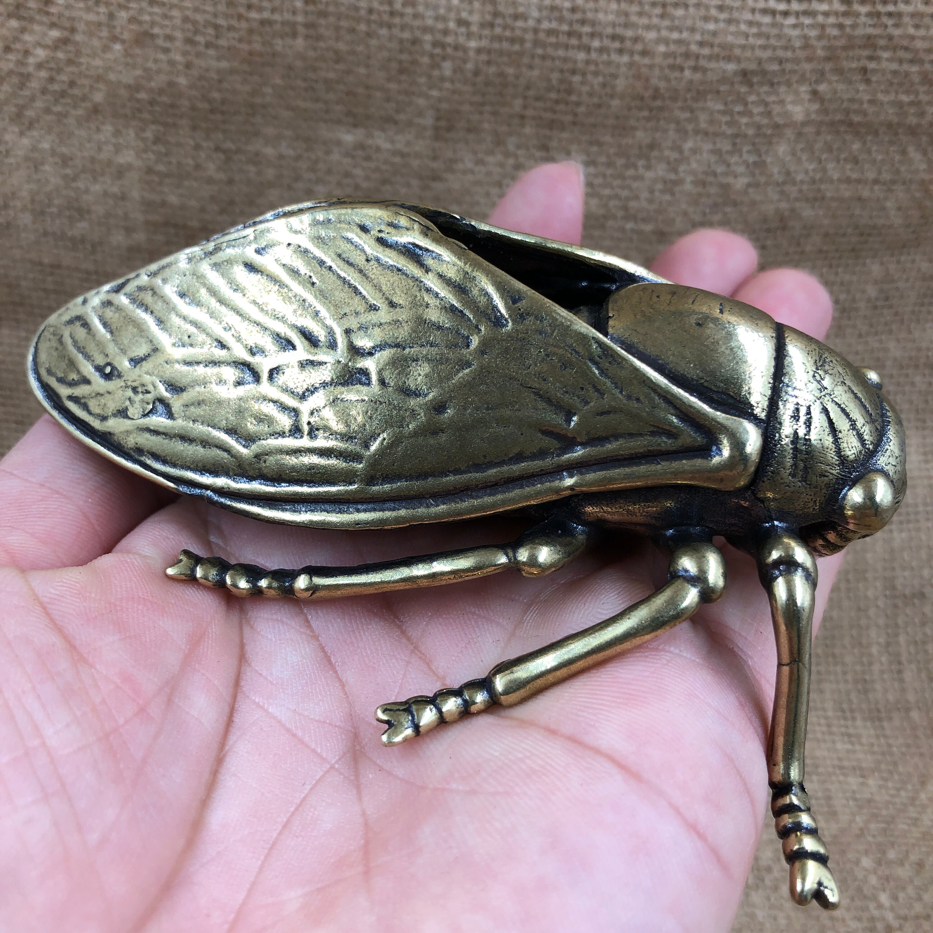 Huge Vintage Style Cicada Figure, Realistic Insects Cicada Bugs Statue ...
