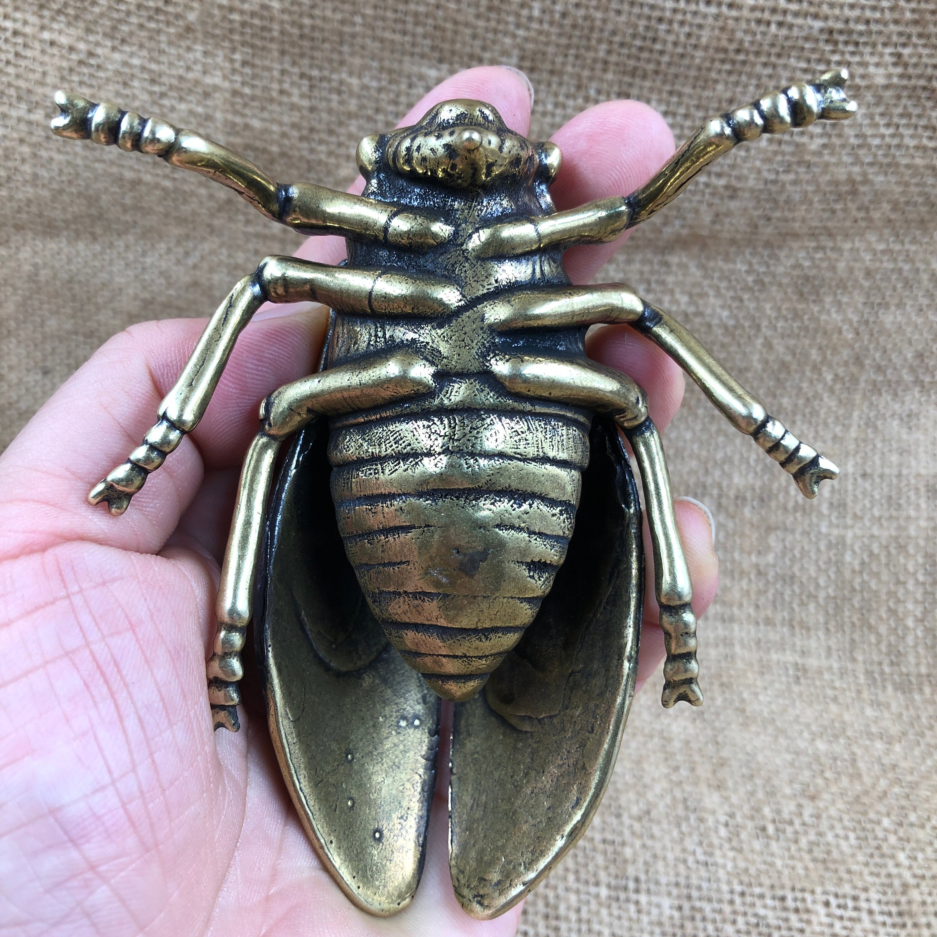 Huge Vintage Style Cicada Figure, Realistic Insects Cicada Bugs Statue ...