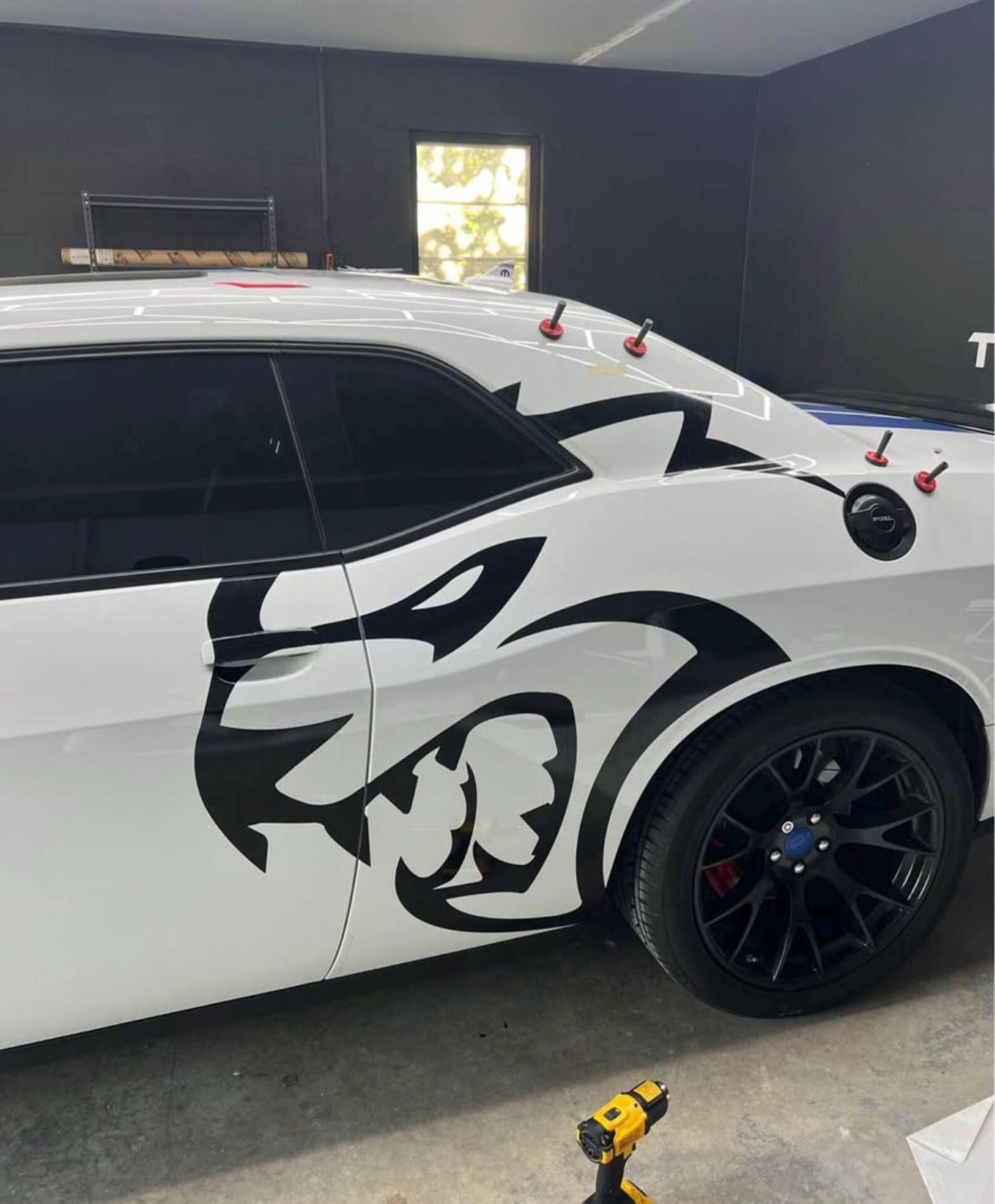 Oversized Hellcat Decal, Vinyl Wrap, Graphics, 3M, Charger, Challenger ...