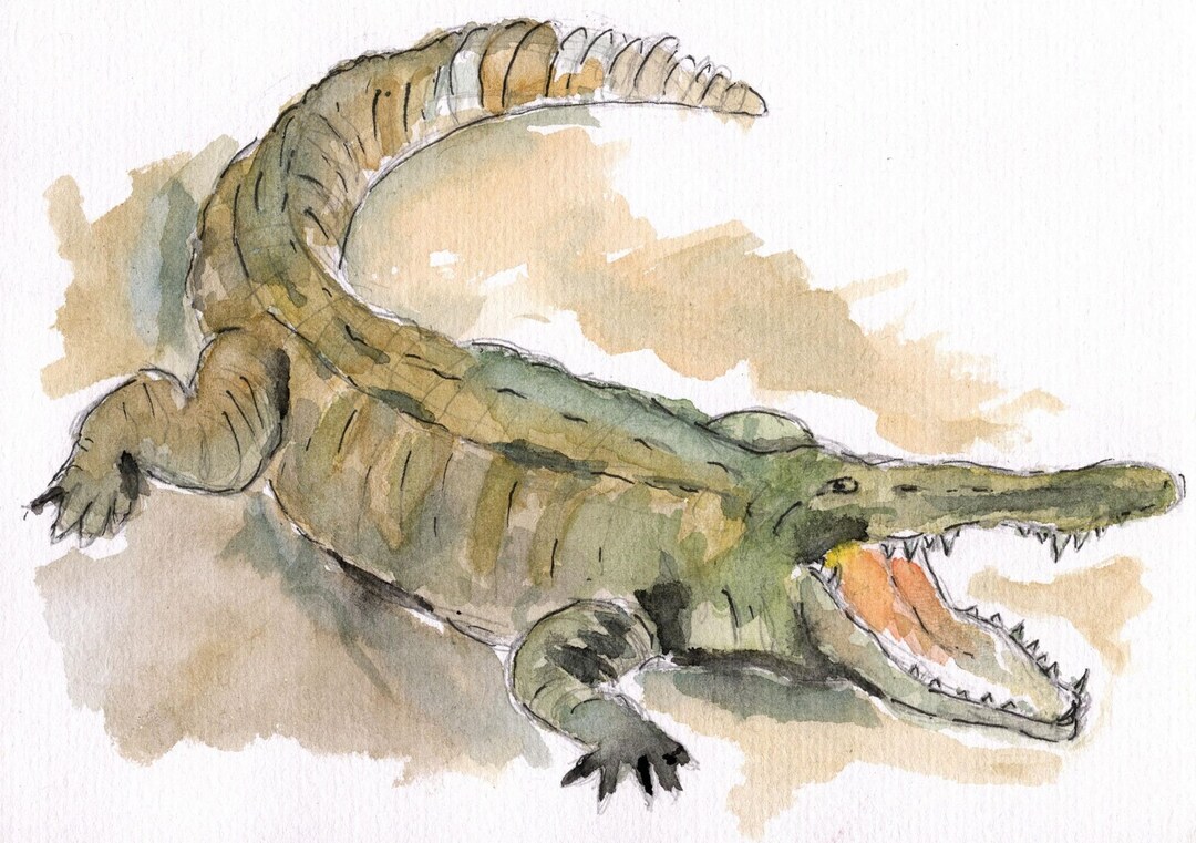 Watercolour Crocodile, Hand Painted Watercolor Instant Download ...