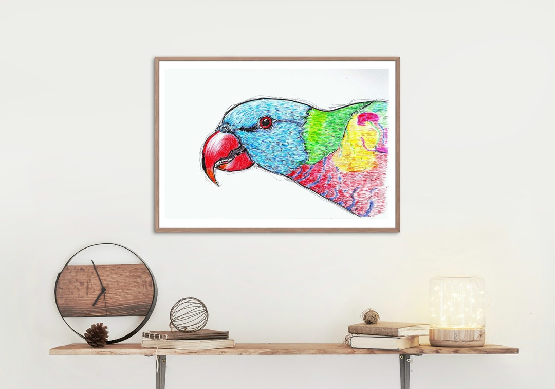 A4 Hand Drawn Rainbow Lorikeet, Australian Bird, Colorful Parrot ...