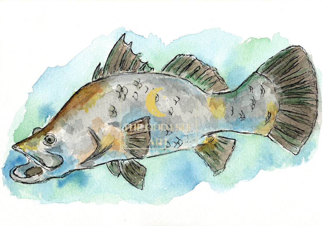 Hand-painted Barramundi Watercolor Print (A5 Digital Download) - Etsy