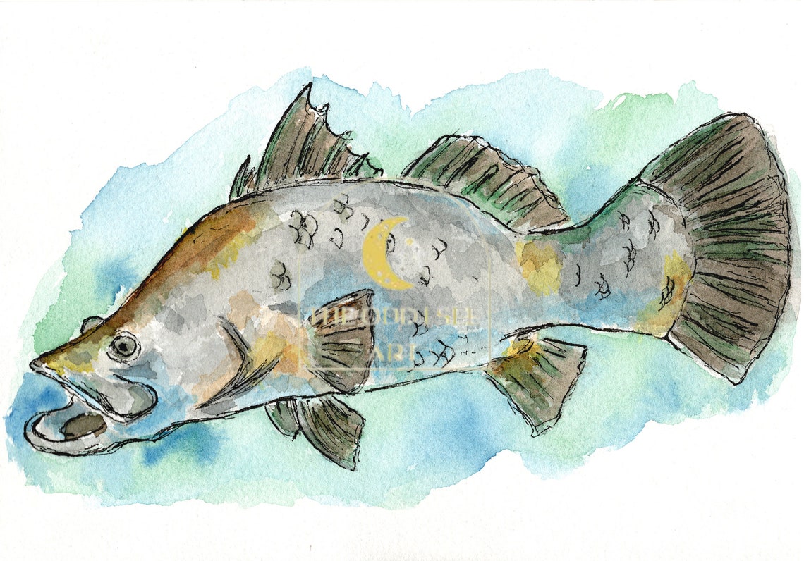 Hand-painted Barramundi Watercolor Print (A5 Digital Download) - Etsy