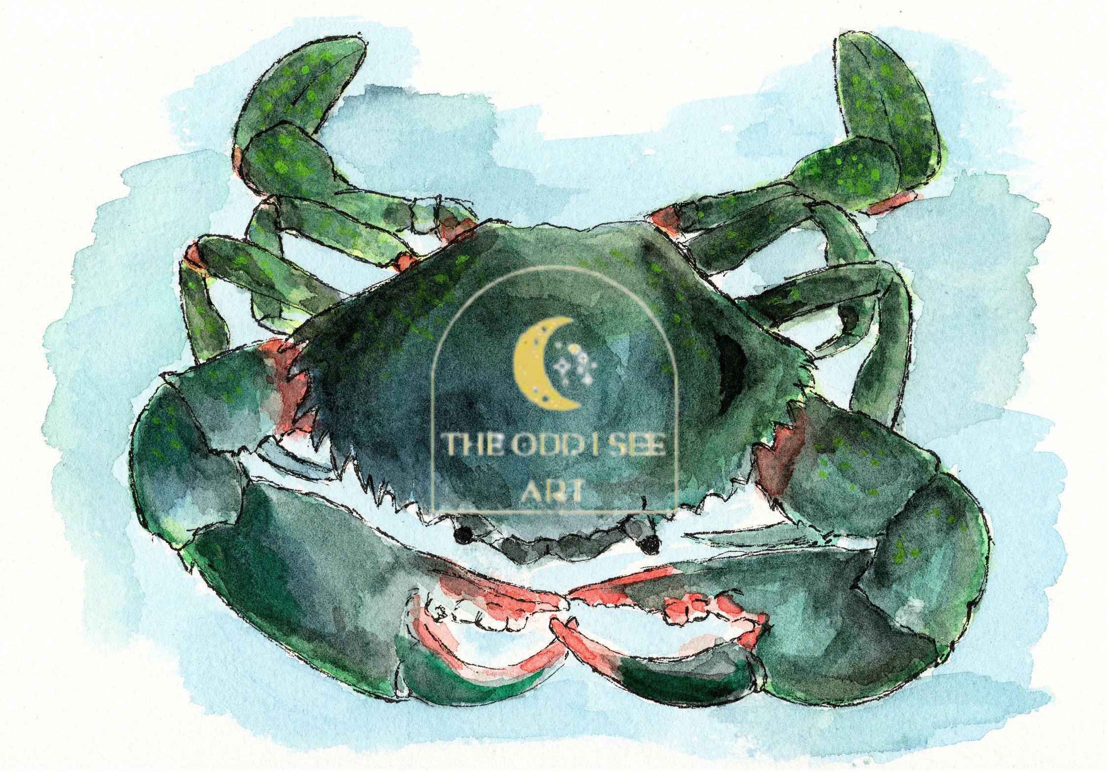 Watercolor Mud Crab Painting, A5 Printable Artwork (digital Download ...