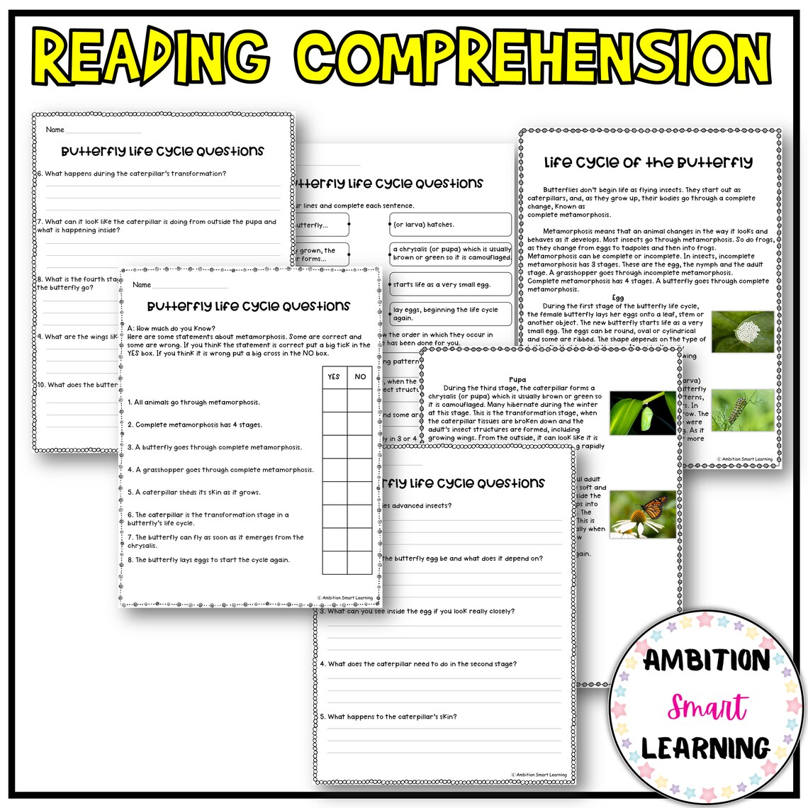 Butterfly Life Cycle Reading Passages, Posters and Fun Activities - Etsy