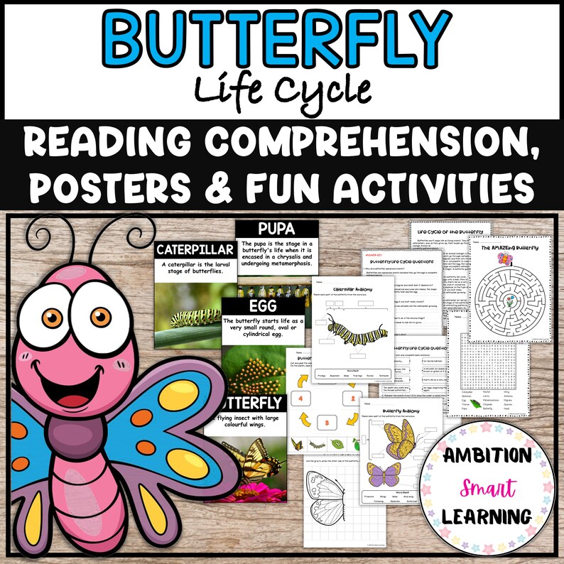 Butterfly Life Cycle Reading Passages, Posters and Fun Activities - Etsy