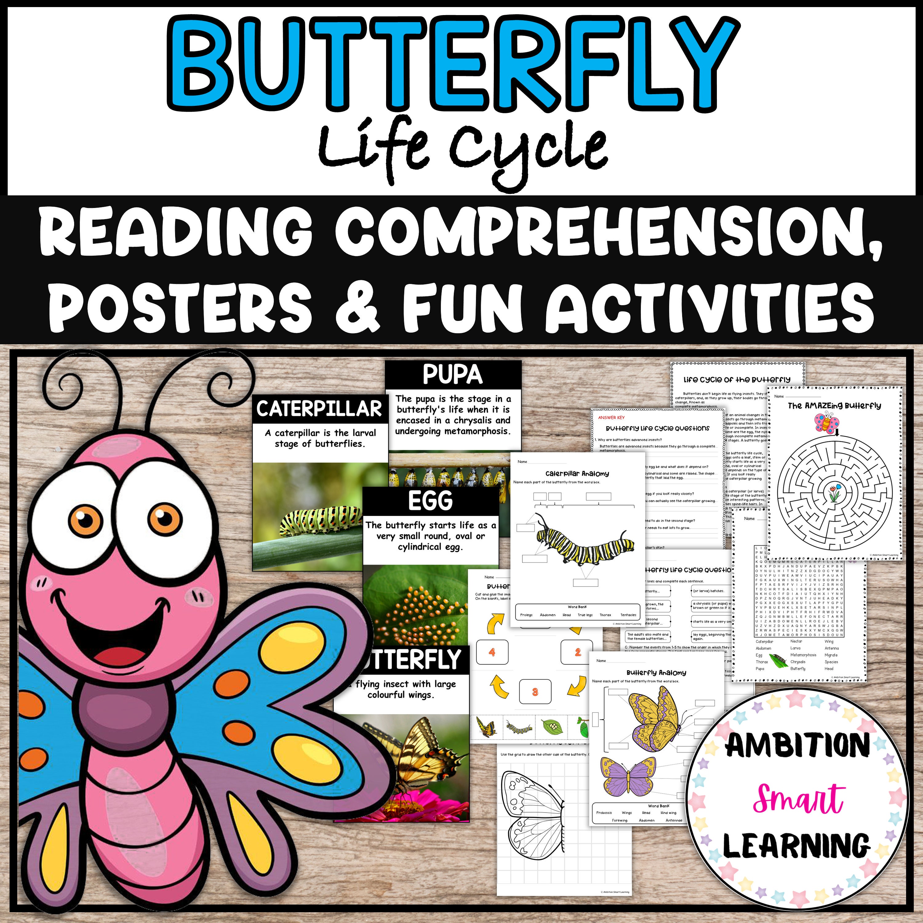 Butterfly Life Cycle Reading Passages, Posters and Fun Activities - Etsy