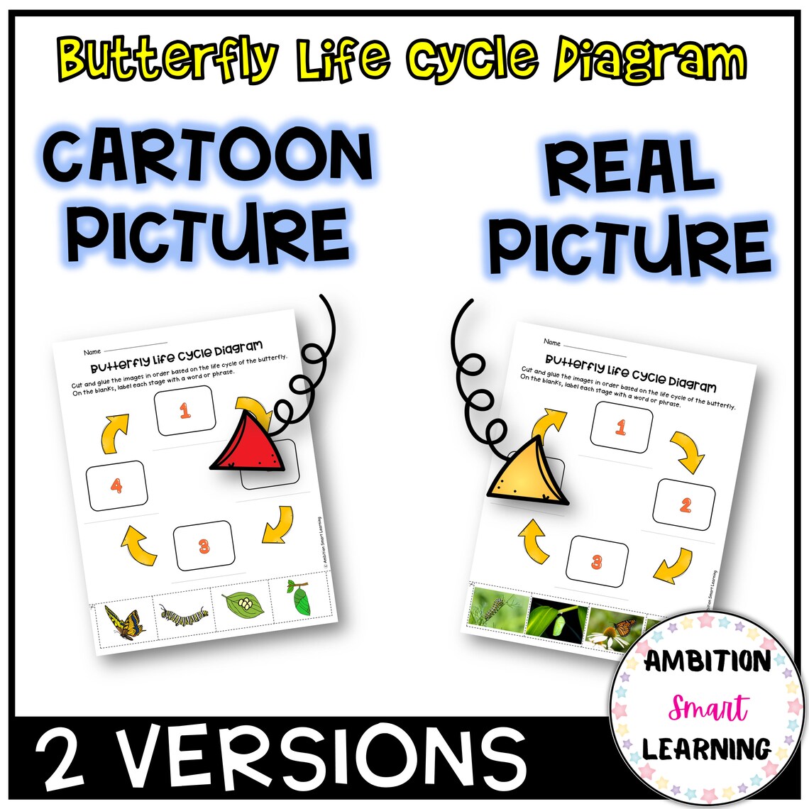 Butterfly Life Cycle Reading Passages, Posters and Fun Activities - Etsy