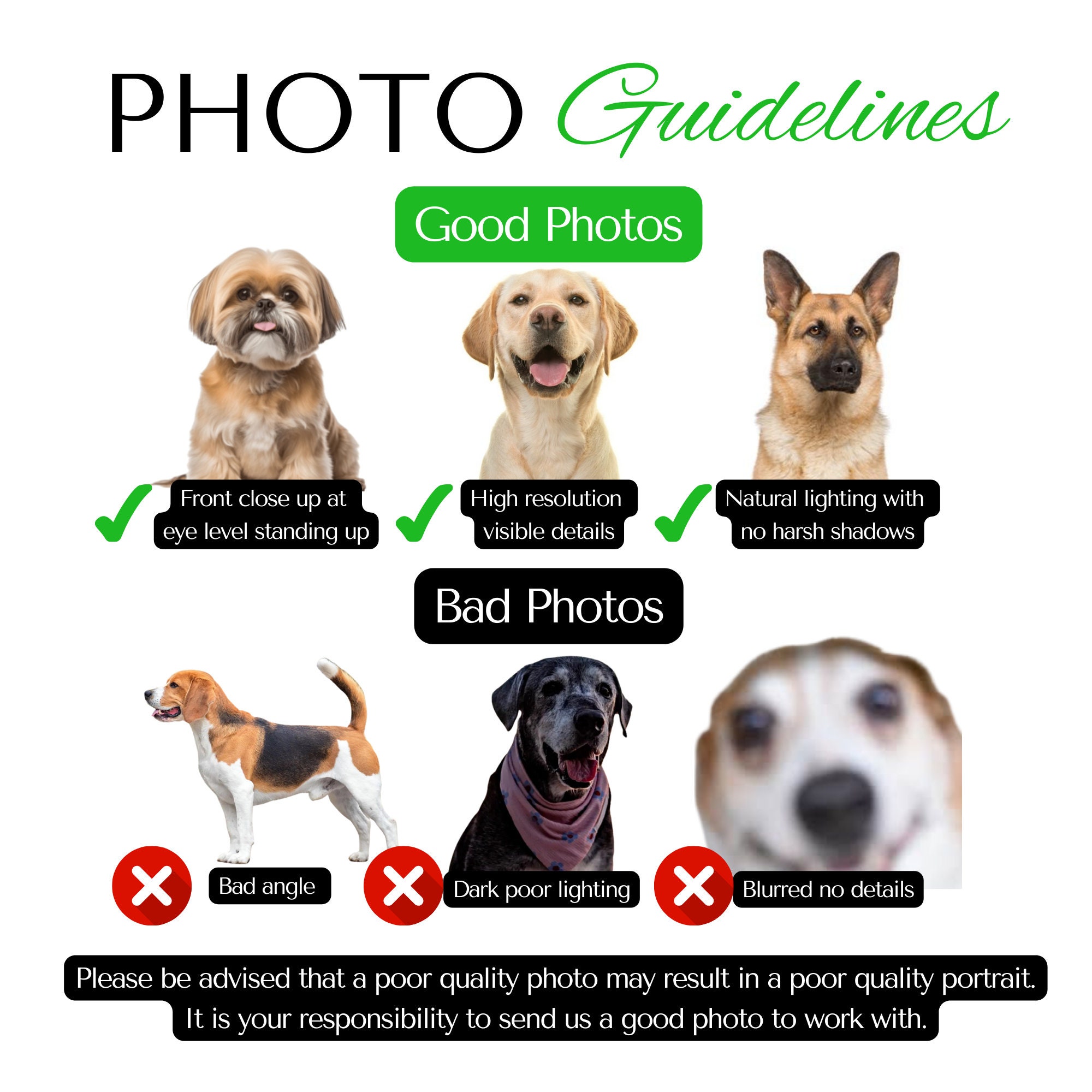 Funny Pet Portrait From Photo Pet Gift for Pet Owner Gift for Pet ...