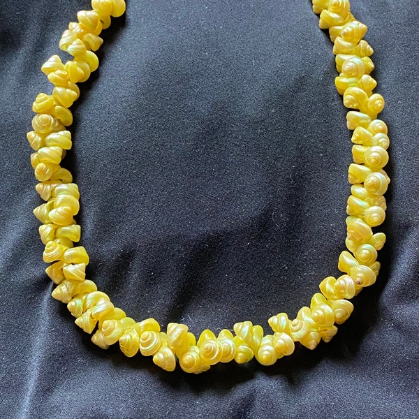 Trochus Shell - Etsy