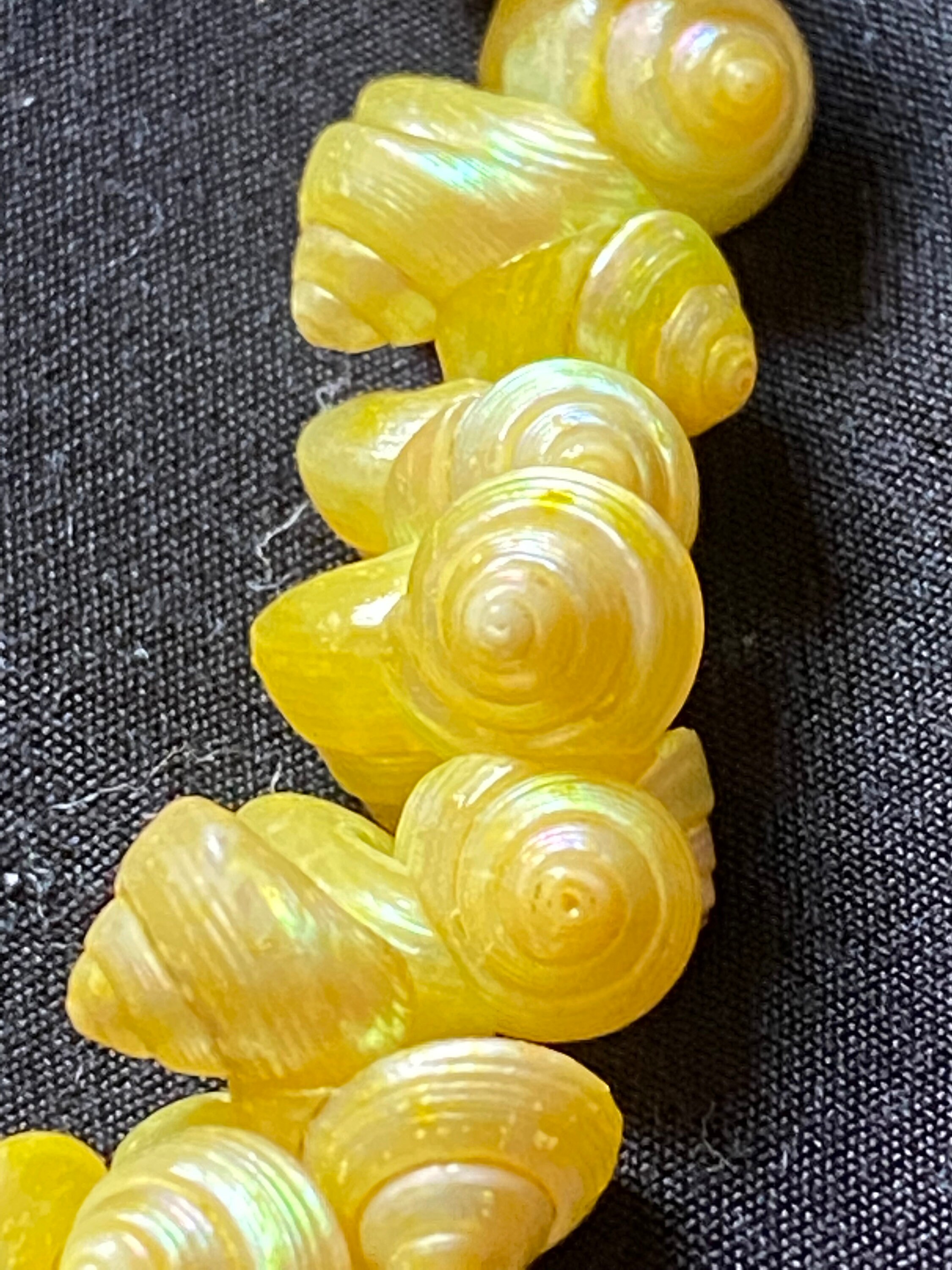 Yellow Trochus Shell Necklace Vintage - Etsy