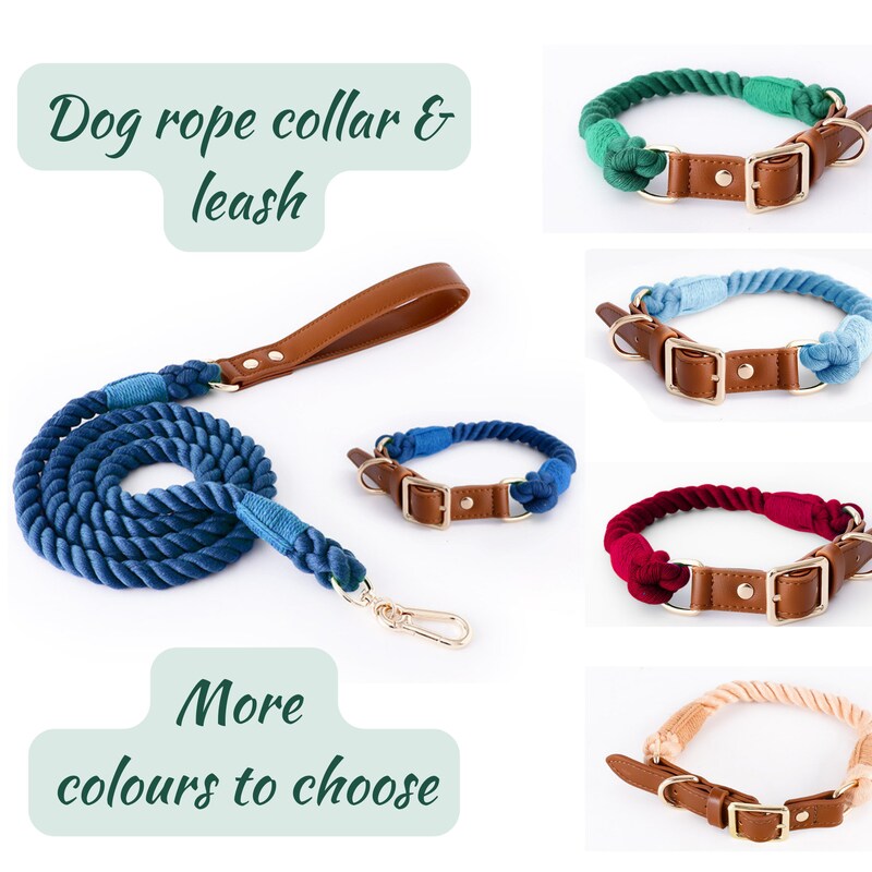 Rope Dog Collar - Etsy