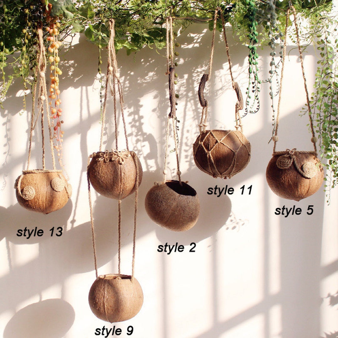 ECO Friendly Hanging Coconut Shell Natural Planter Coconut - Etsy