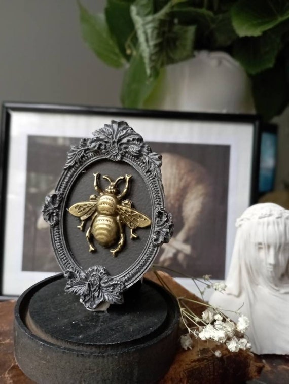 Ex-voto Decoration Gothic Fly Bee Insect Naturalized Wet | Etsy