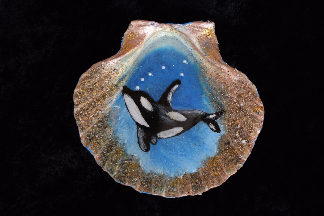 Hand Painted Saint Jacques Shell Jewelry Dish, Hand Crafted Sea Shells ...