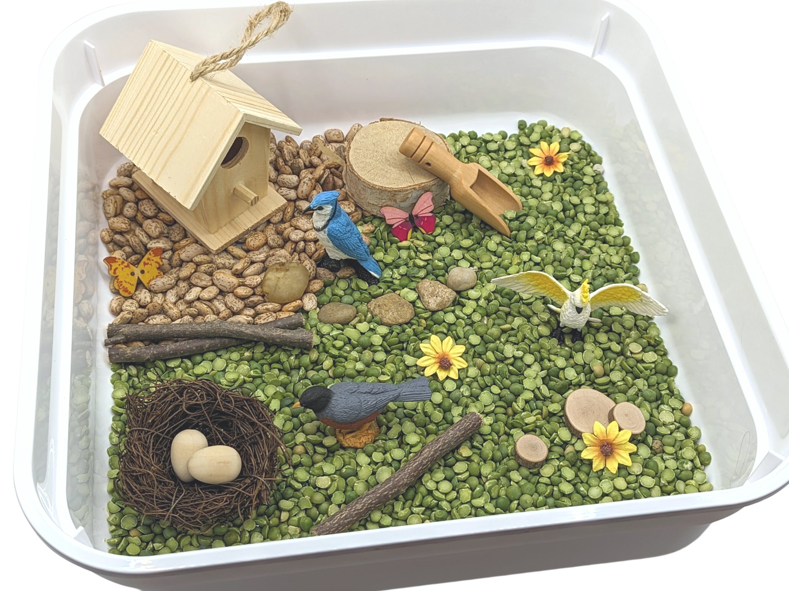Spring Birds Sensory Bin Kit Bird Theme Homeschool Kit - Etsy