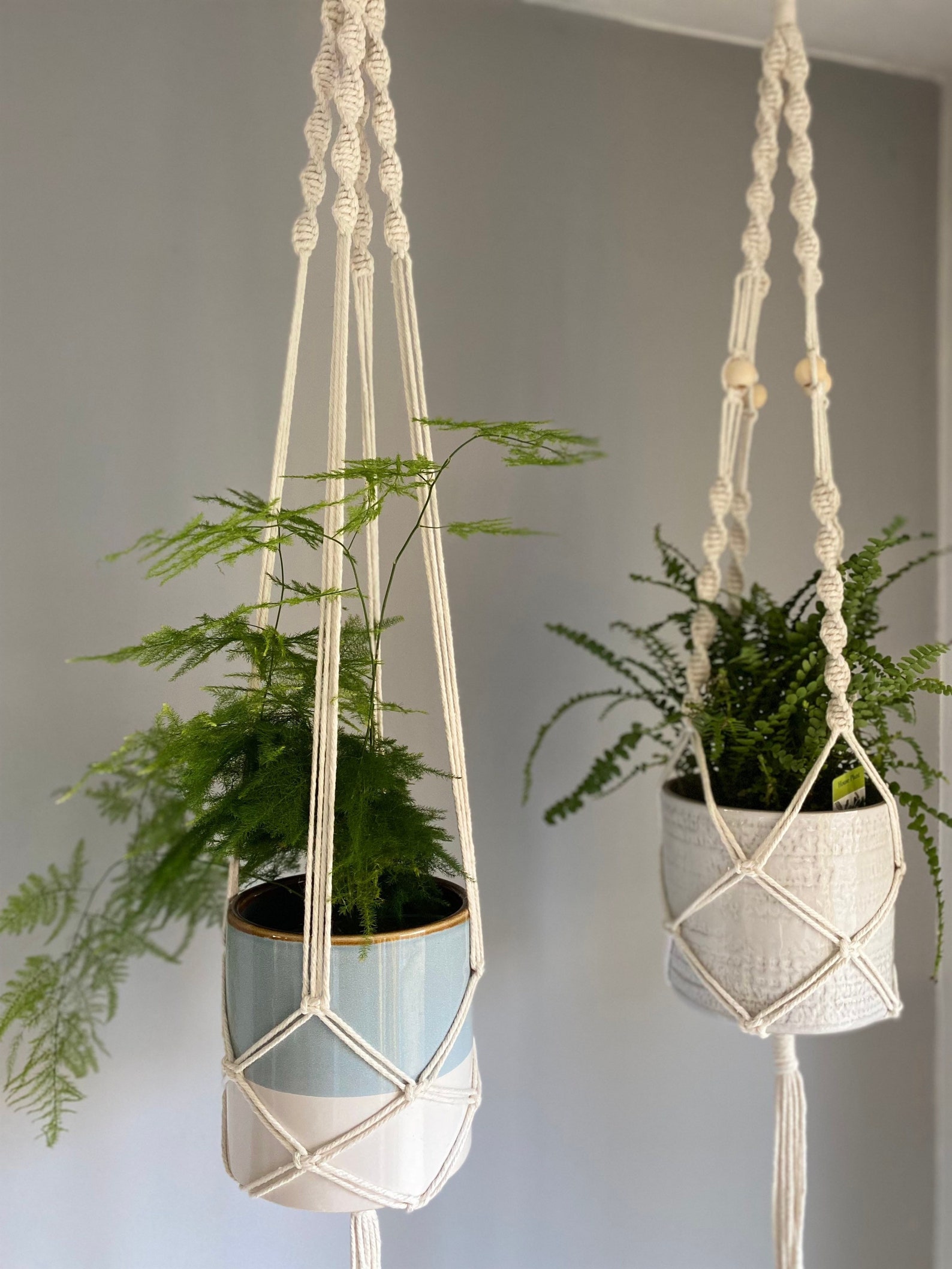 Macrame Ceiling Plant Hanger Indoor Hanging Wall Planter - Etsy