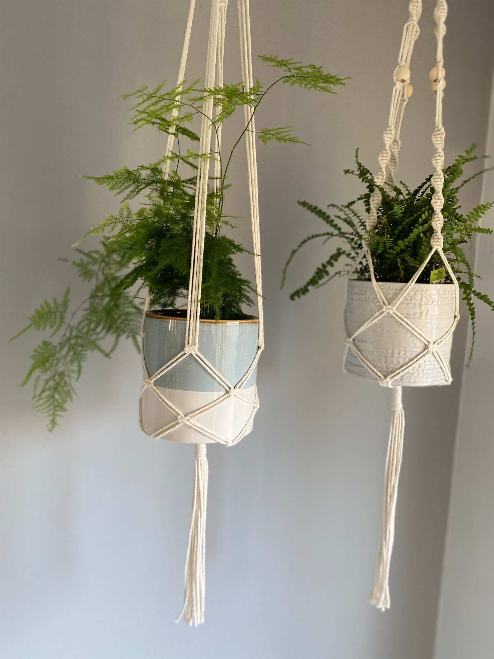 Macrame Ceiling Plant Hanger Indoor Hanging Wall Planter - Etsy