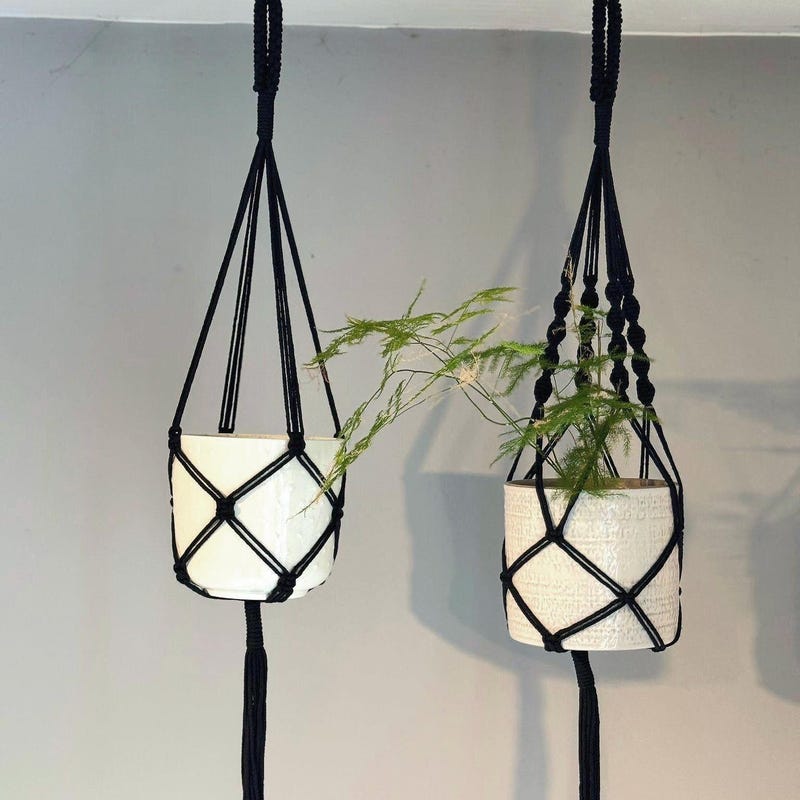 Indoor Plants Ceiling - Etsy