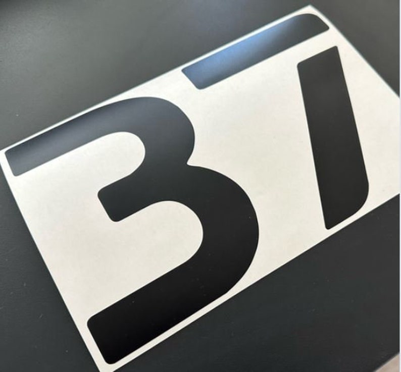 37" Bedside & Tailgate Decals Raptor - Etsy