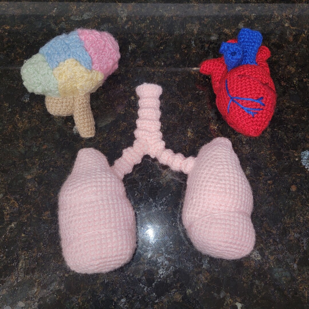 Crochet Set of 3 or Individual Organs - Lungs, Heart, & Brain - Etsy