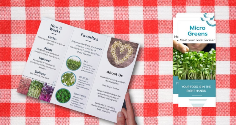 Farmer's Market Microgreen Brochure Z Fold Canva Template- Educational ...