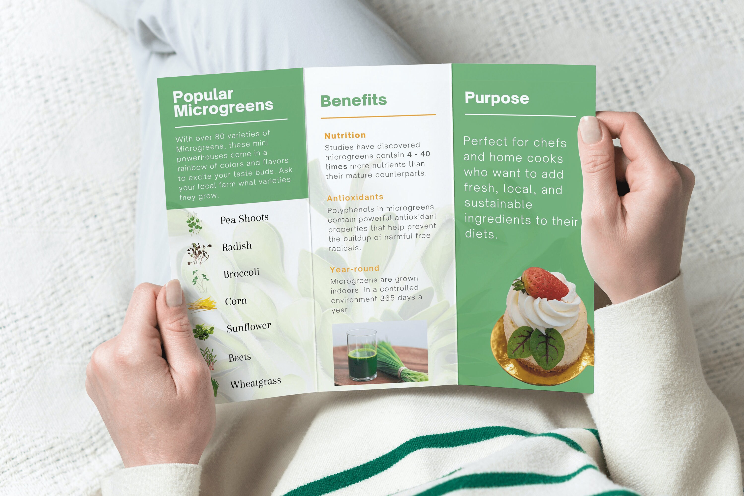 Microgreen Educational Trifold Pamphlet Template - Etsy