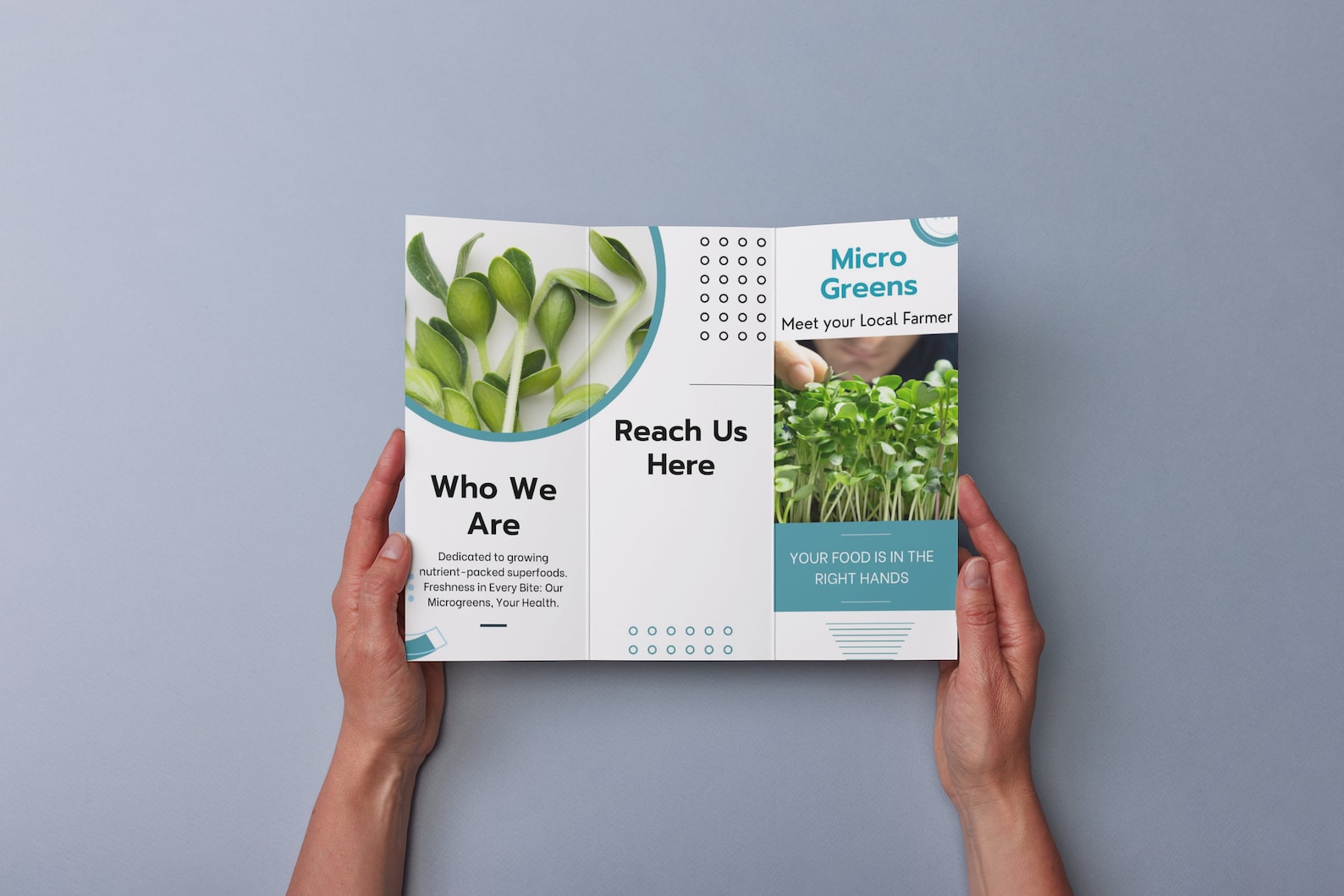 Farmer's Market Microgreen Brochure Z Fold Canva Template- Educational ...