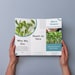 Microgreen Brochure Farmers Market- Educational Microgreen Handout - Etsy