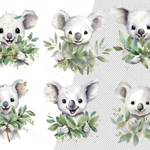Digital Set of 24 Watercolor Cute Koala PNG, Sticker Clipart Cute Koala ...