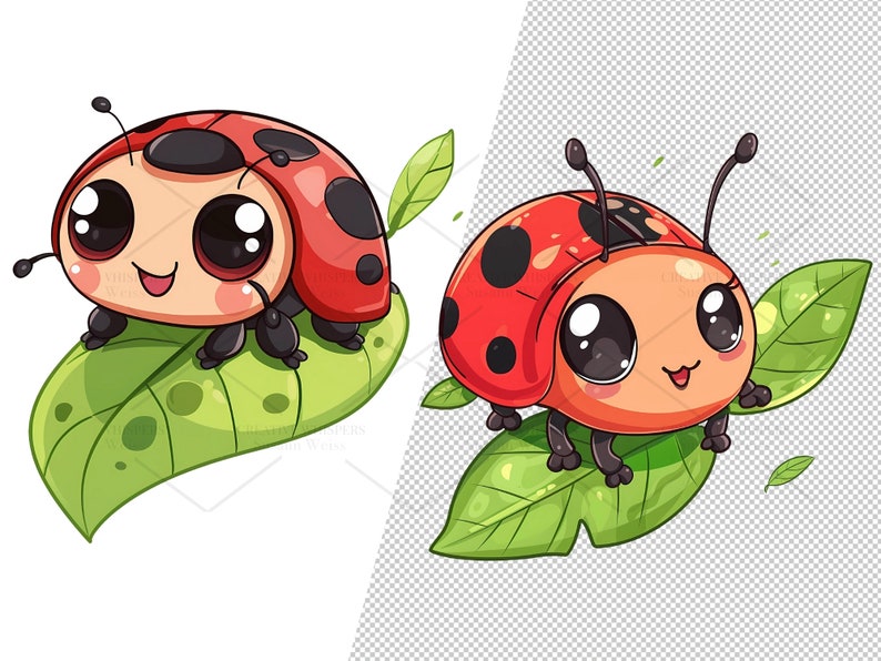Cute Ladybug Illustration Clipart Sticker Bundle 10 High Quality Pngs ...
