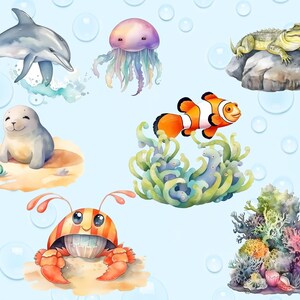 Sea Animal Watercolor Set - Underwater Creatures PNG - Ocean Life ...