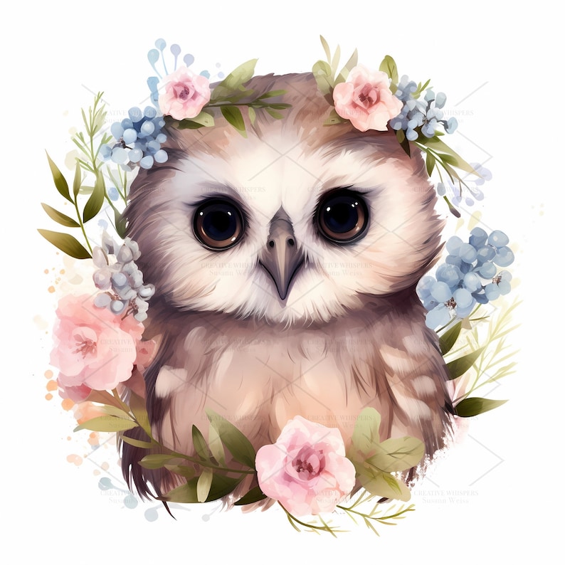 Cute Owl With Flowers Illustration Clipart Bundle- 10 High Quality ...