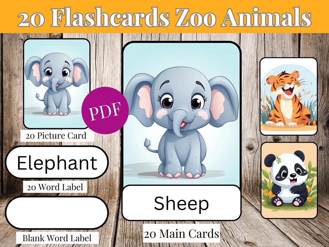 20 Adorable Zoo Animal Flashcards for Kids - Learning Cards Editable ...