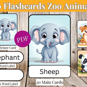 20 Adorable Zoo Animal Flashcards for Kids - Learning Cards Editable ...