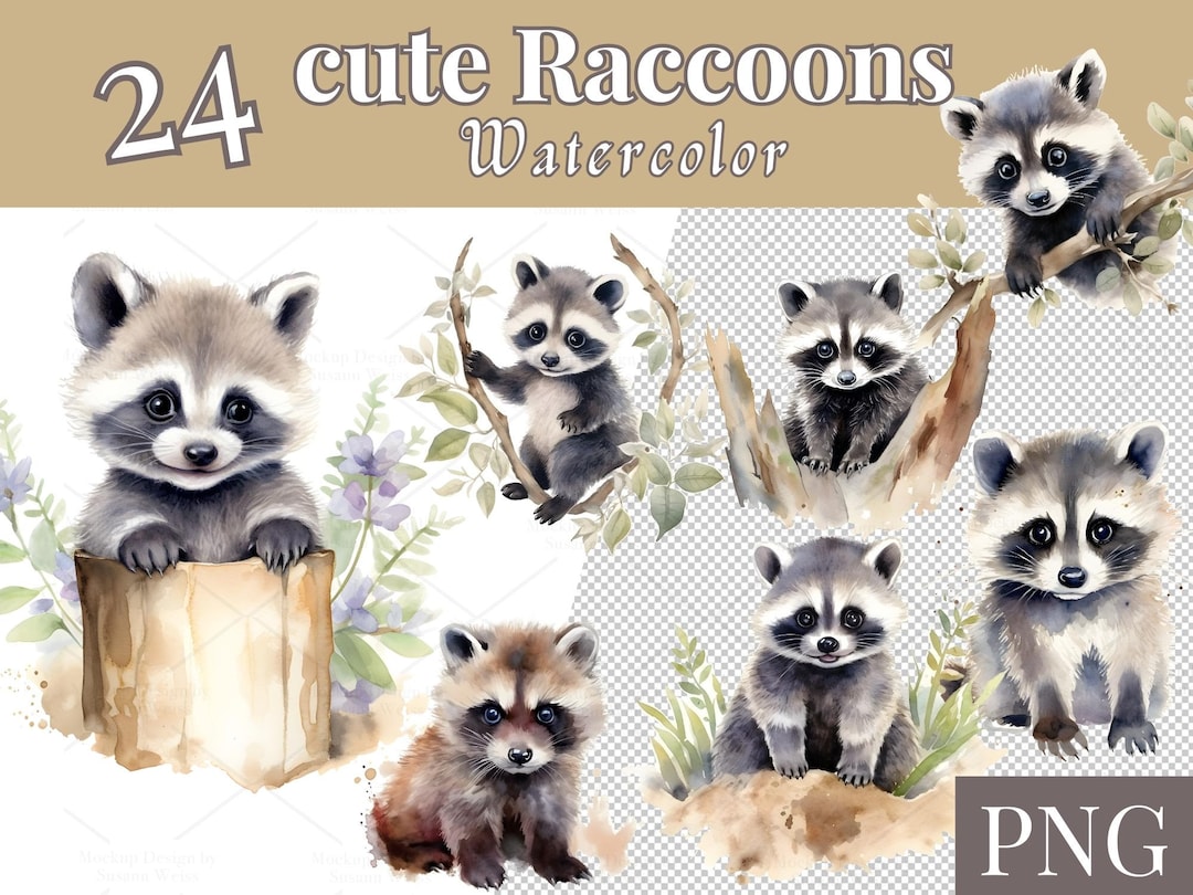 24 Watercolor Cute Raccoon PNG, Sticker Clipart Cute Raccoon ...