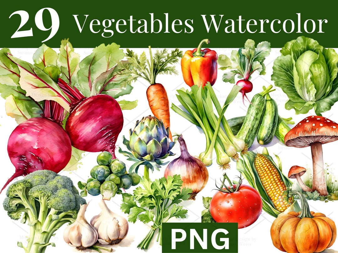 Watercolor Vegetables Clipart – Hand-painted Veggie PNG Bundle (digital ...