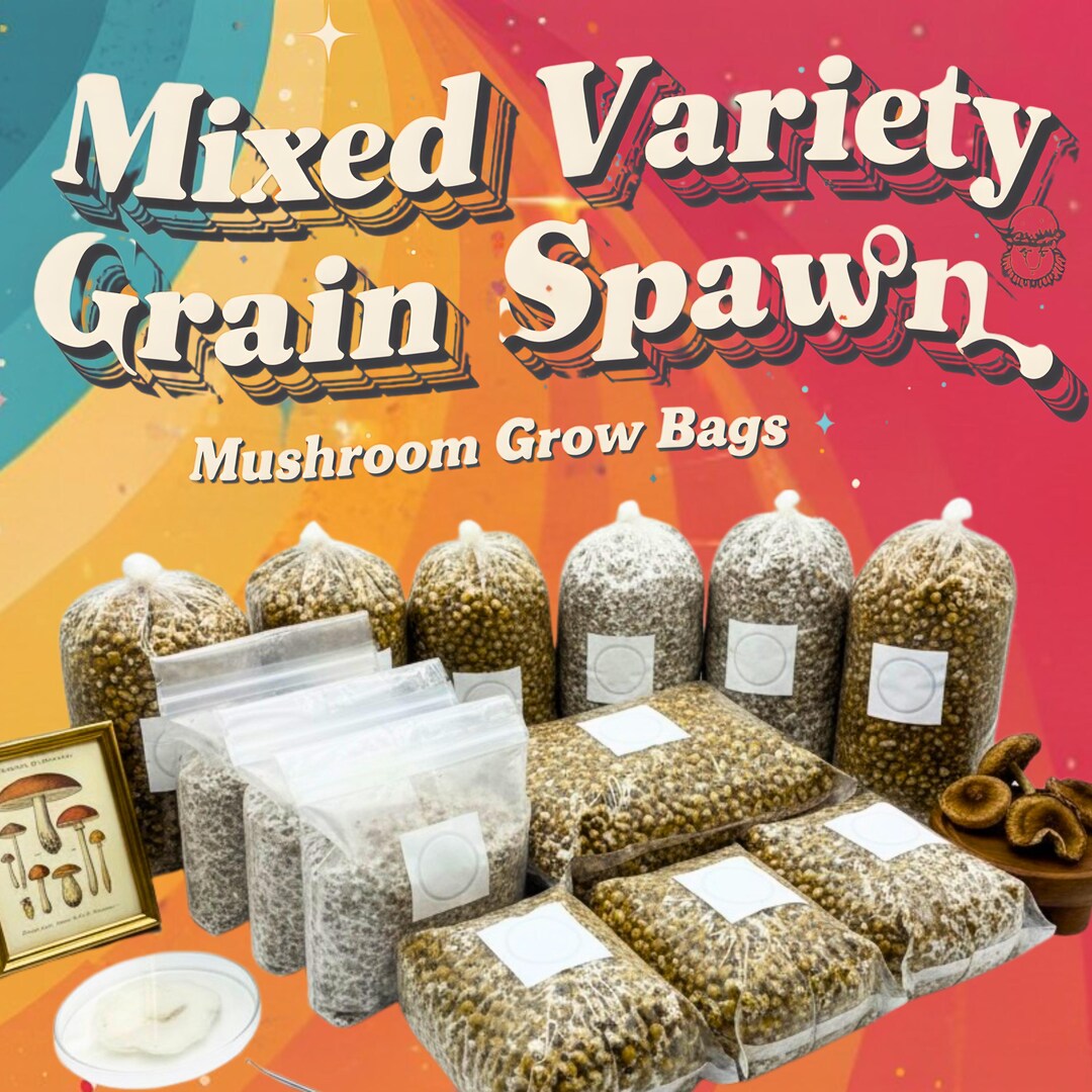 Multigrain Mushroom Spawn Bag – Ready to Inoculate - Etsy