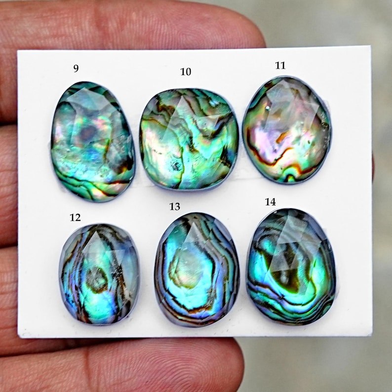 Abalone Cabochon Doublet Paua Shell Rose Cut Natural Flatback Loose ...