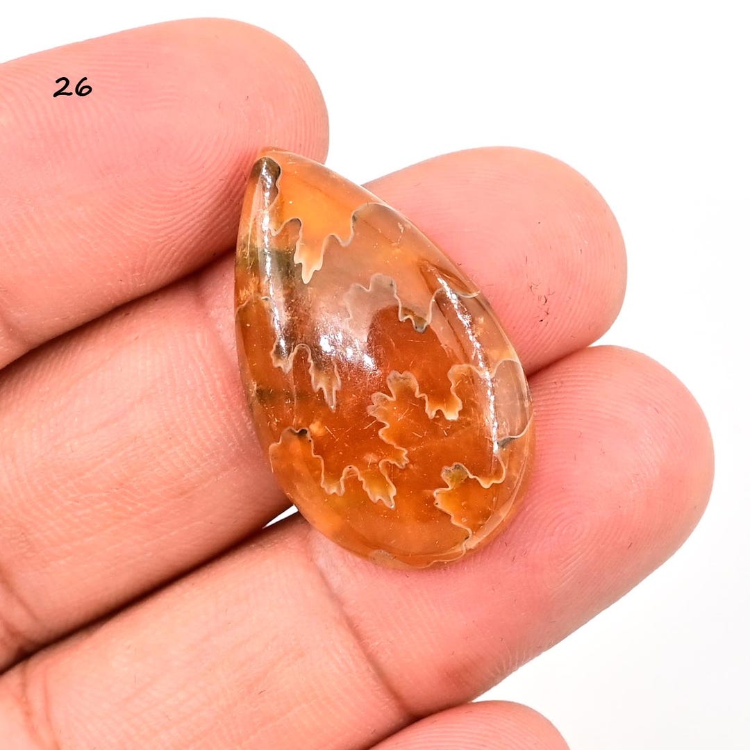 Natural Suture Pattern Ammonite Fossil Oval Cabochon - Cleoniceras ...