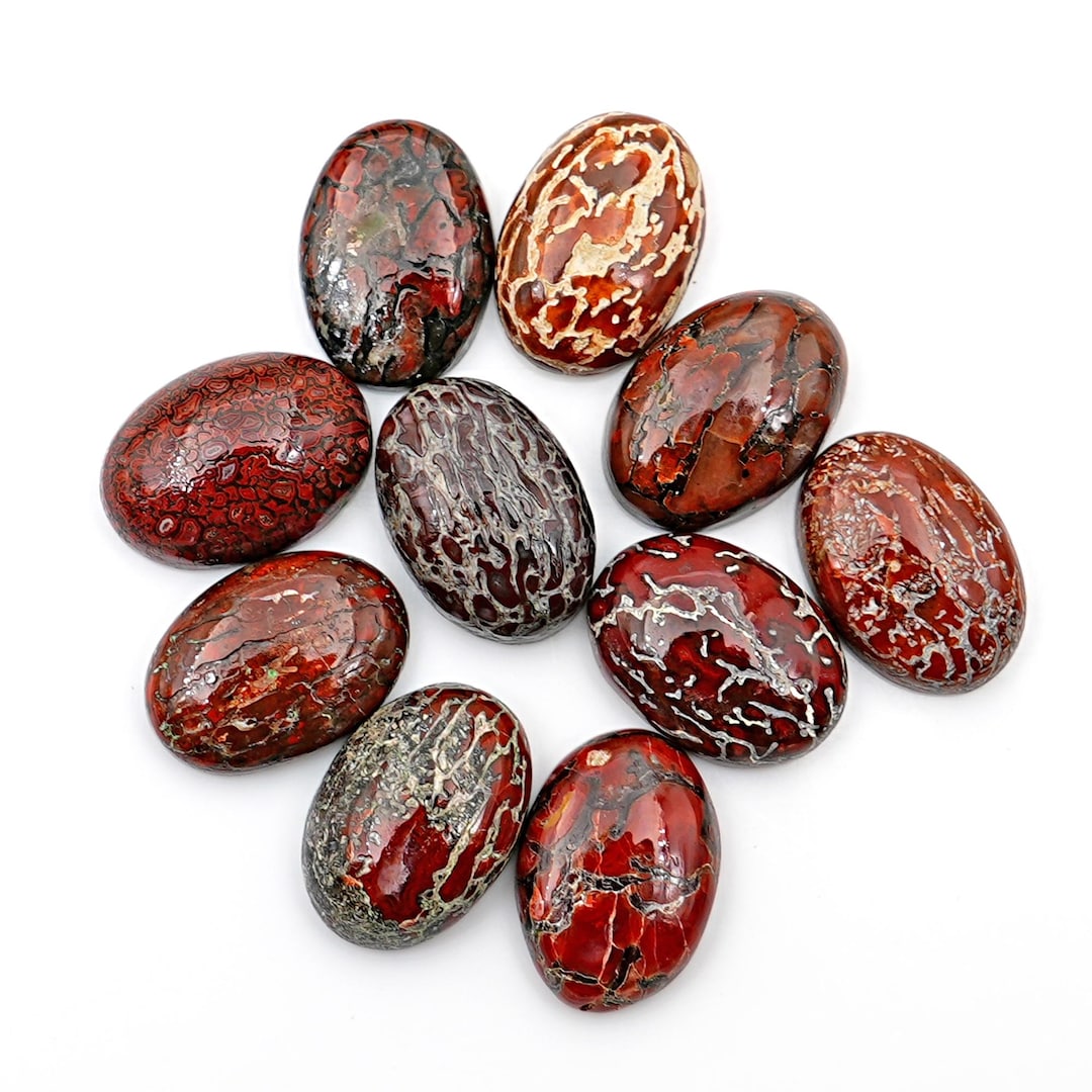 Agatized Dinosaur Bone Cabochon Oval Gemstone for Jewelry Making, Rare ...