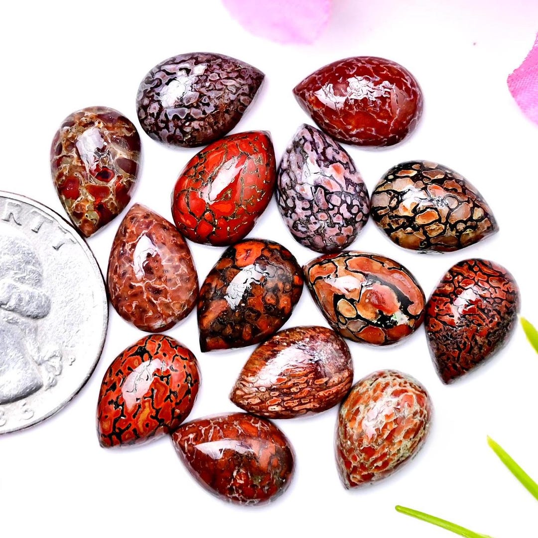 15 Pcs Natural Dinosaur Bone Calibrated Cabochon, 9x13mm Tear Drop ...